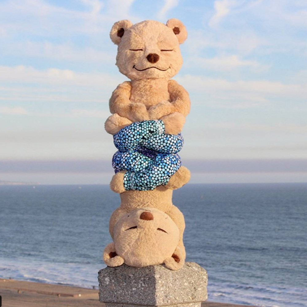 İnternetin yeni fenomeni Yogi Ayı Meddy Teddy - Son Dakika Yaşam ...