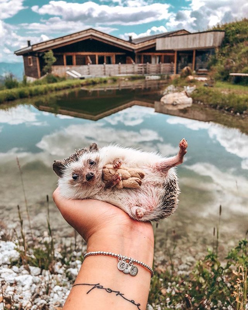 Instagram'ın yeni fenomeni Mr. Pokee | NTV Haber