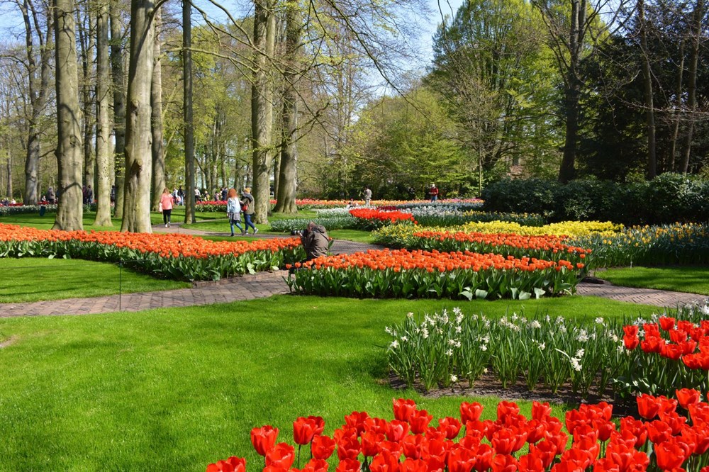 Dünyanın en büyük lale bahçesi