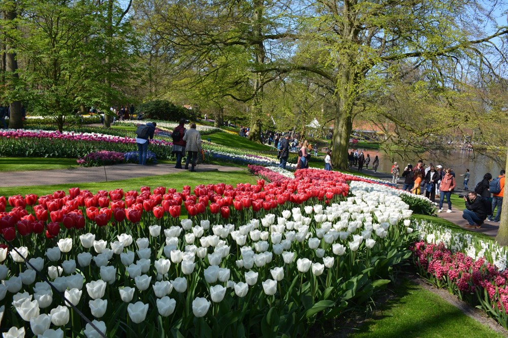 Dünyanın en büyük lale bahçesi