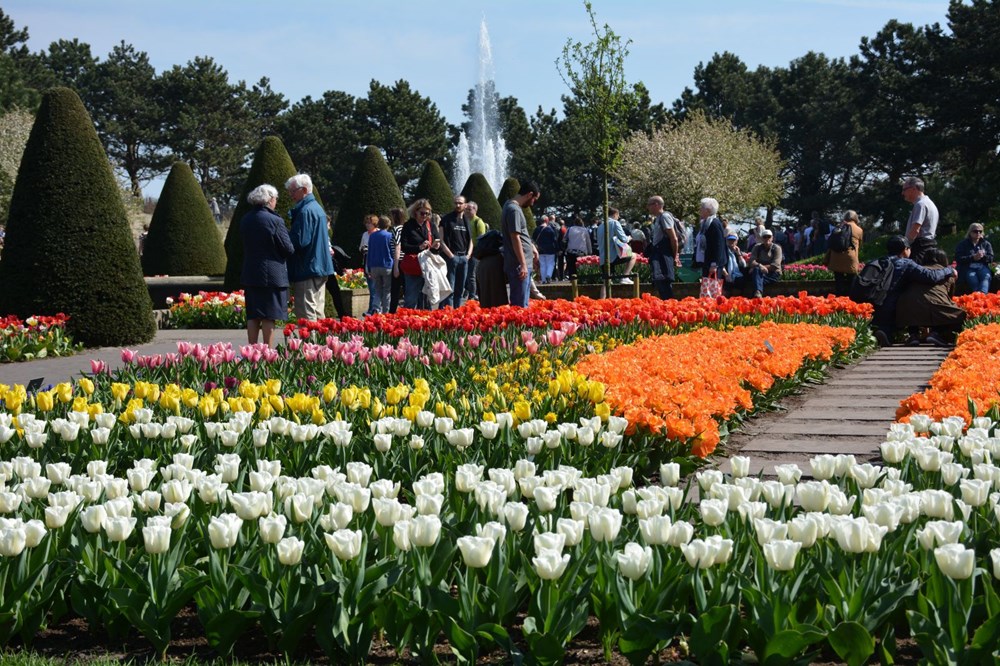 Dünyanın en büyük lale bahçesi