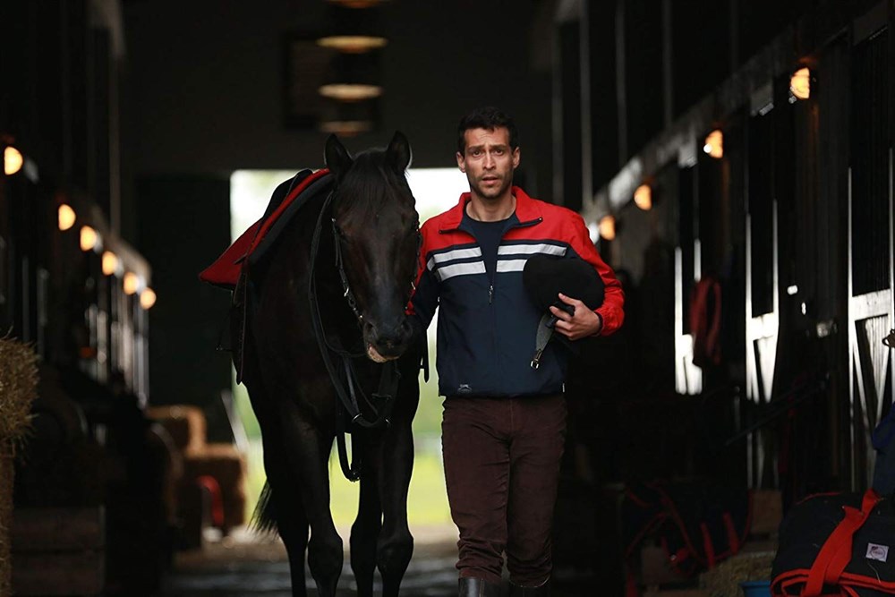 'Bold Pilot geliyor' (Şampiyon hakkında bilmeniz gerekenler)