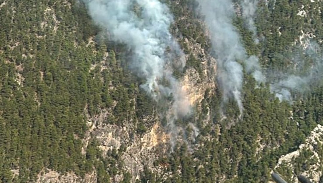 Burdur'da orman yangını: Kontrol altına alındıktan sonra yeniden ...