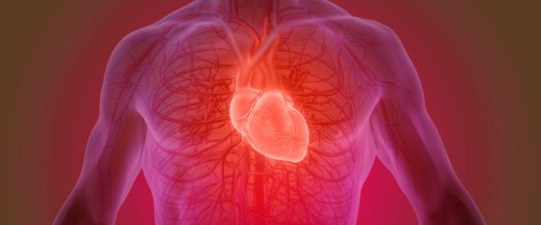 Kalp ritmini ölçen "akıllı tişört" geliştirildi - Sağlık Haberleri