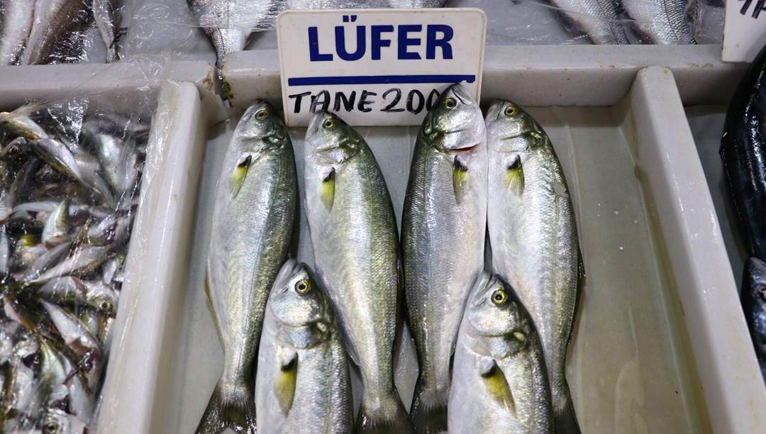 Lüfer bolluğu fiyatları düşürdü - Son Dakika Ekonomi Haberleri | Ntv Para