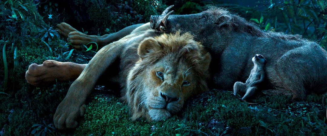 Aslan Kral'ın zirve mücadelesi (En popüler animasyonlar)