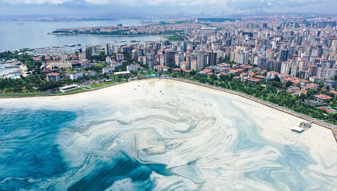 Caddebostan Sahili'nde müsilaj yoğunluğu arttı - Son Dakika Türkiye ...