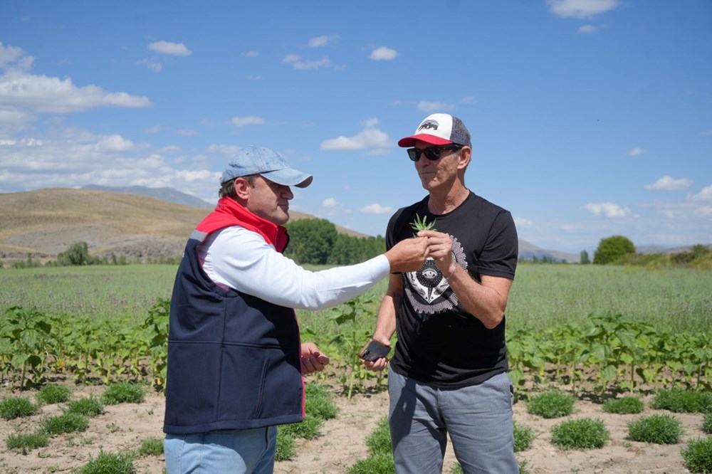 Coğrafi işaretli Bayburt tarhunu alıcı buldu: Amerika'ya ihraç edilecek ...