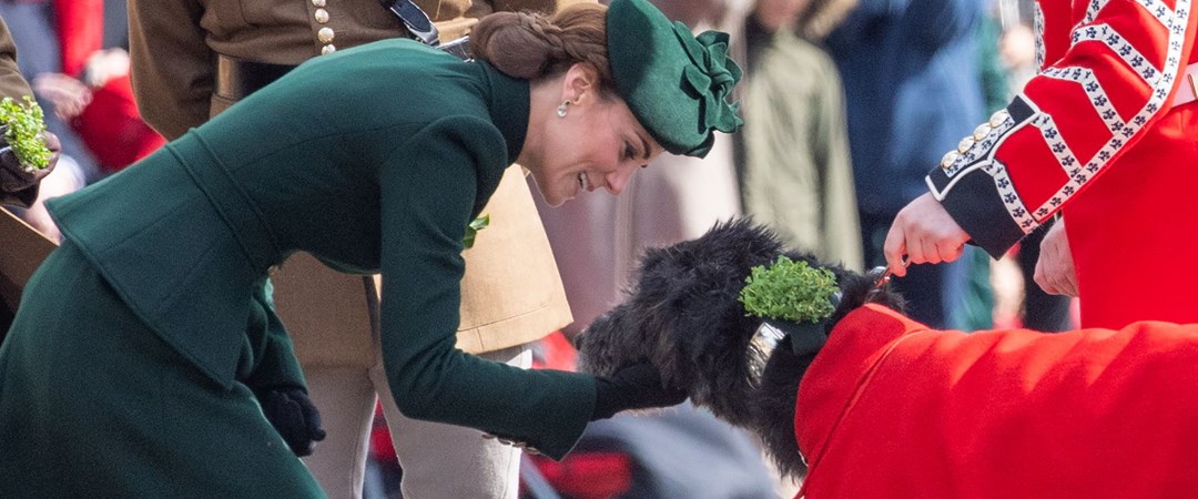 Kate Middleton ve Prens William Aziz Patrick Günü kutlamasında - Son ...