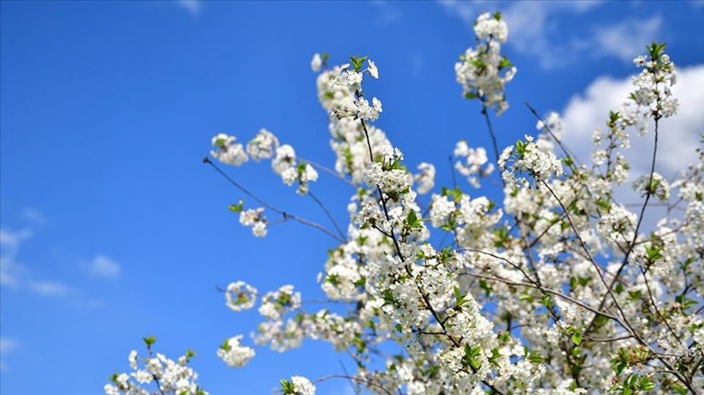 Nevruz'da neler yapılır? İşte Nevruz gelenekleri - Son Dakika Türkiye ...