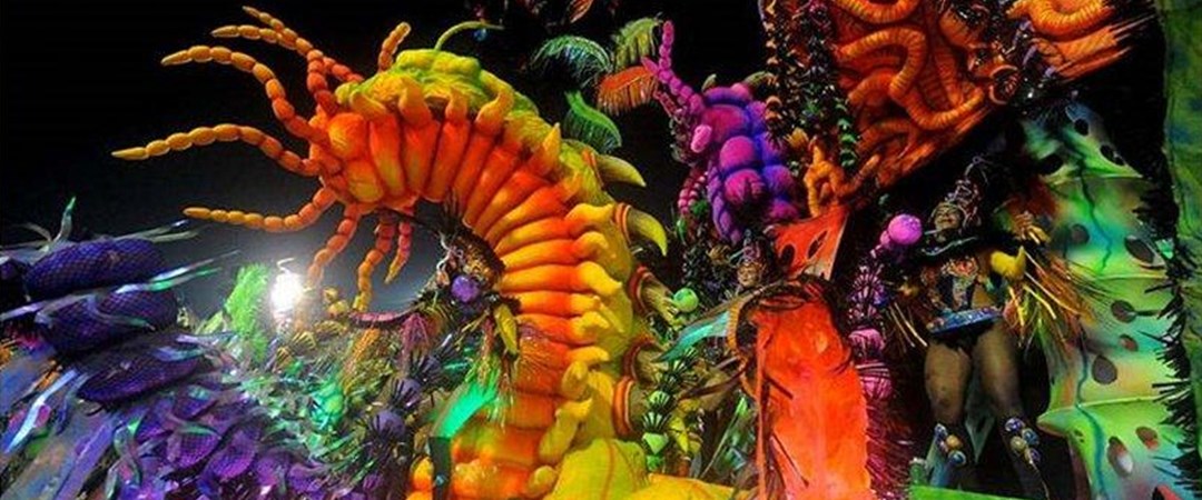 'Rio' yine rengarenk - Son Dakika Yaşam Haberleri | NTV Haber