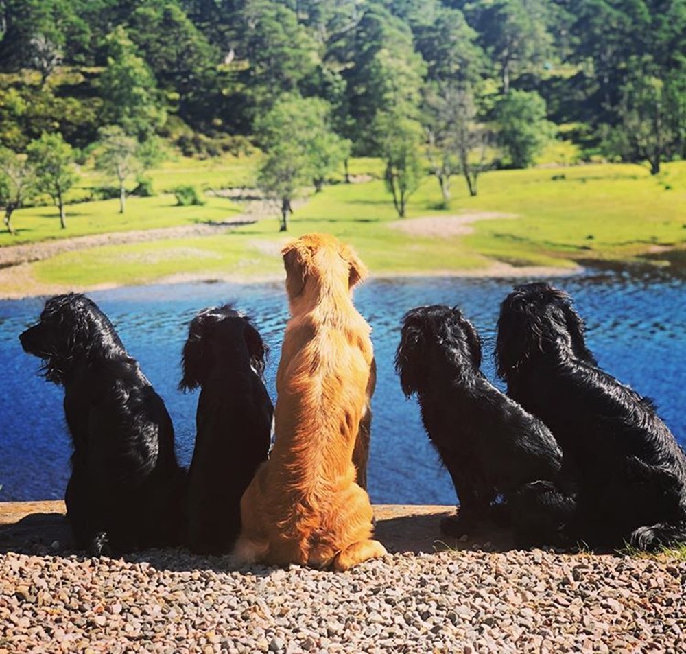 Düşesin kardeşi James Middleton köy hayatıyla mutlu - Son Dakika Yaşam ...
