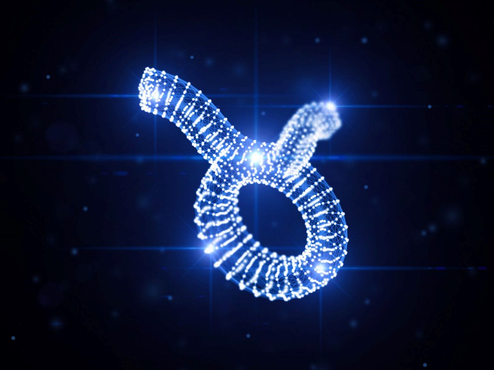 Hangi burç hangi burçla uyumlu? Burçlara göre ilişki | N-Life