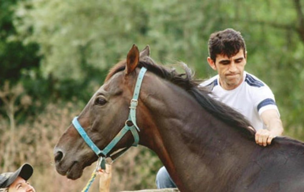 'Bold Pilot geliyor' (Şampiyon hakkında bilmeniz gerekenler)