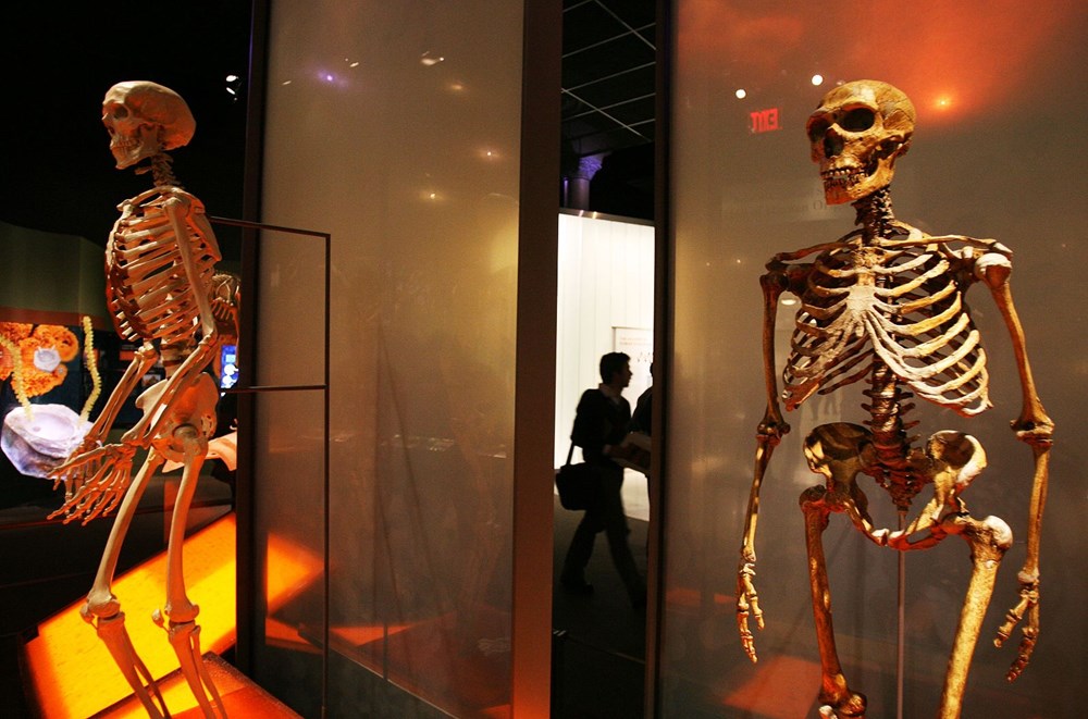 Oxfordlu arkeolog: Neandertaller, ilk insanların sanatında pay sahibi