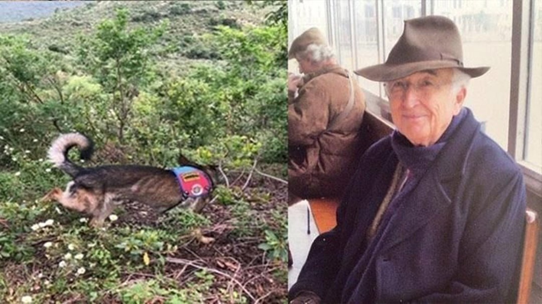 Korhan Berzeg'in kaybında son durum: Korhan Berzeg kimdir, bulundu mu ...