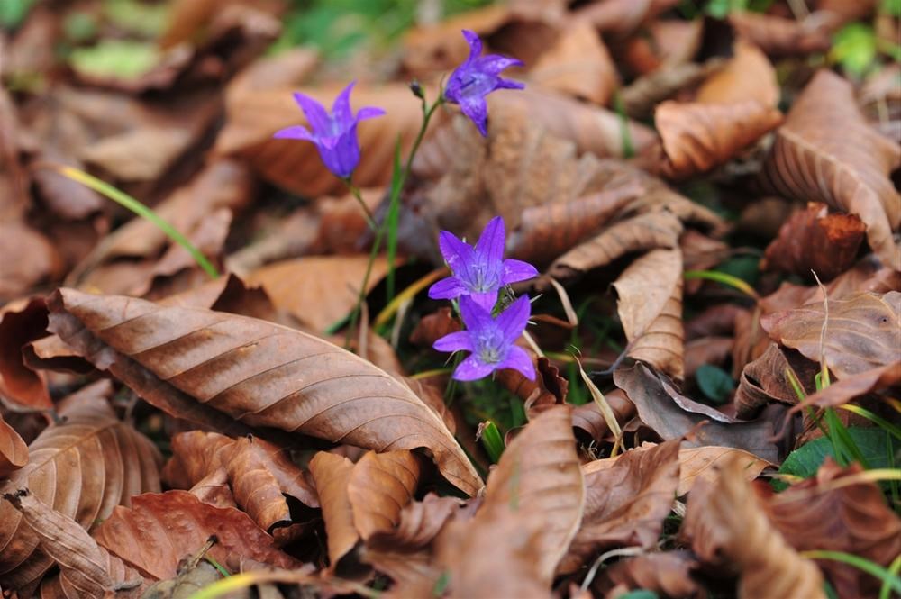 Türkiye 'sarardı' | NTV Haber