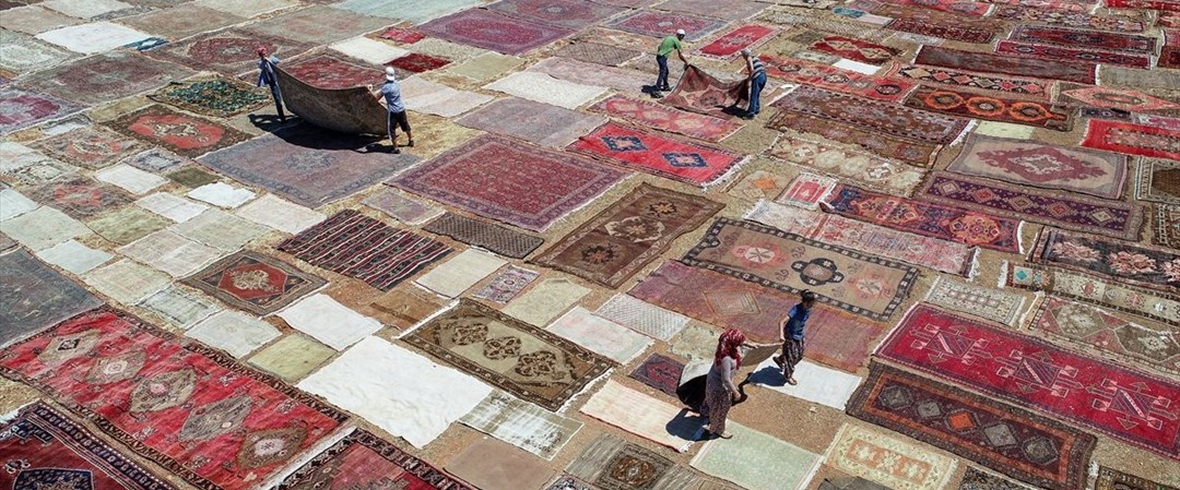 Halı tarlalarının göz alıcı şöleni