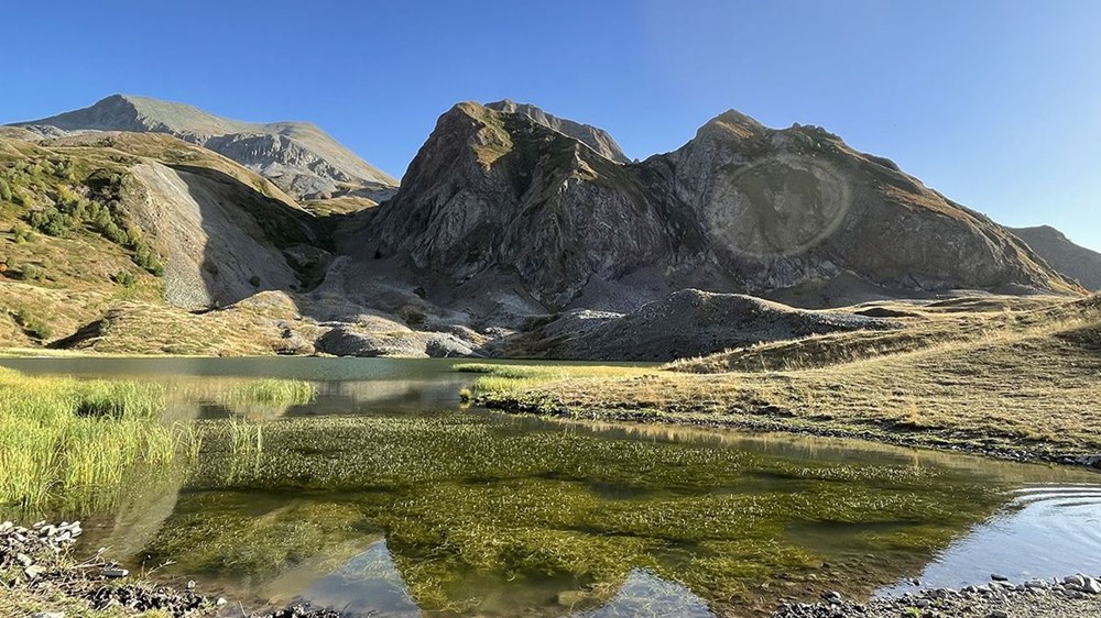 Artvin Arsiyan Yaylası doğa tutkunlarının rotasında | N-Life