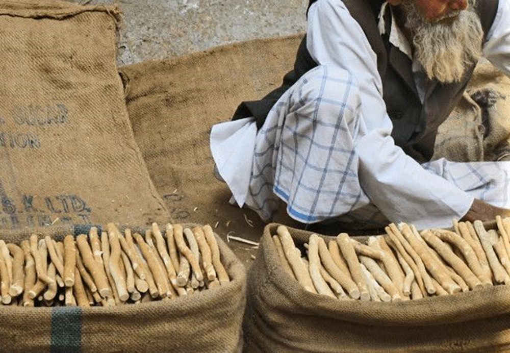 MİSVAK ORUCU BOZAR MI? Diyanet'e göre misvak orucu bozar mı? - Son ...