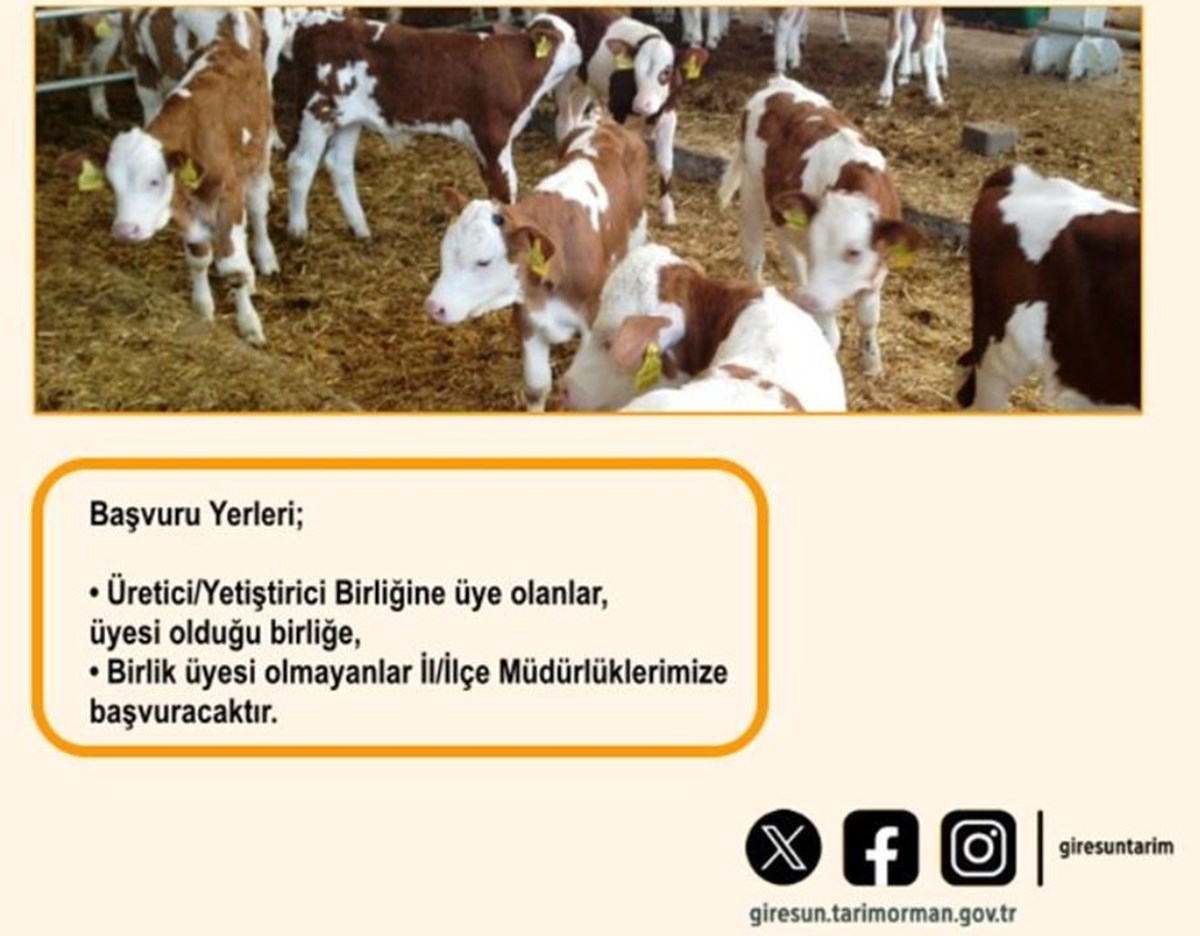 Microsoft Edge Nedir Nasil Indirilir Ve Ozellikleri Nelerdir Images ... Microsoft Edge Nedir Nasil Indirilir Ve Ozellikleri Nelerdir Images ...