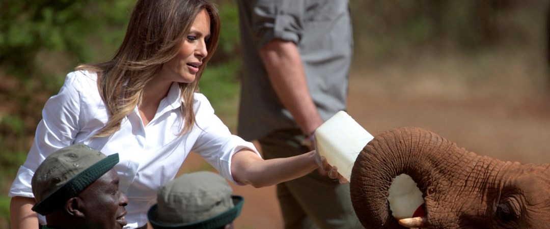 Melania Trump safari turunda - Son Dakika Dünya Haberleri | NTV Haber