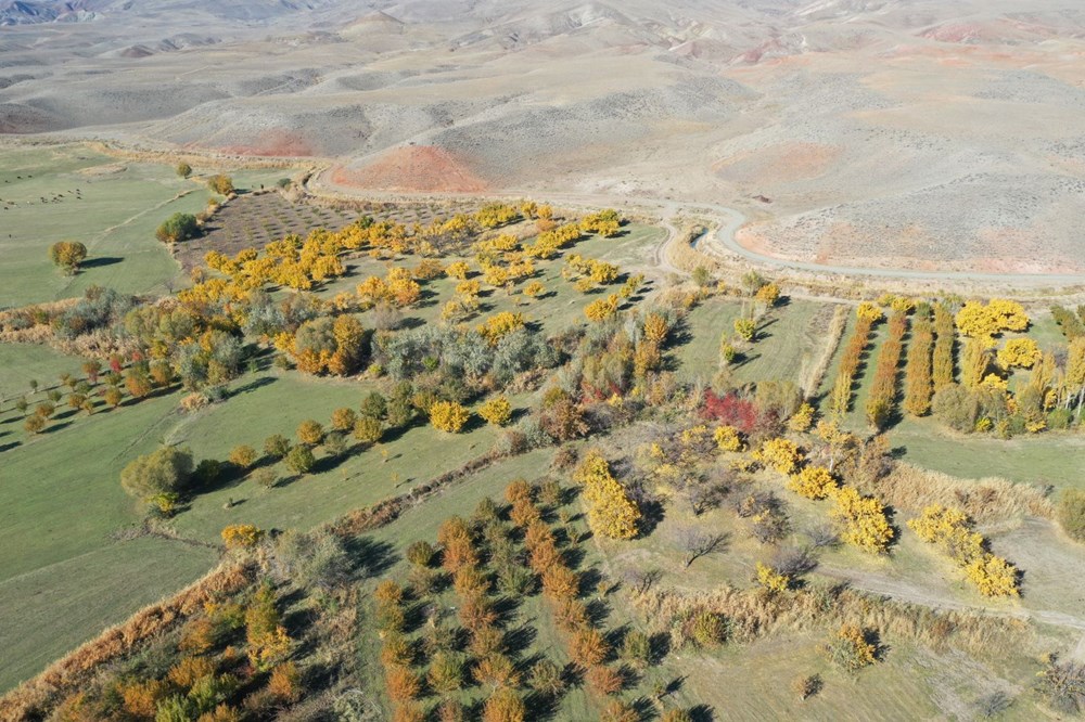 Sonbahar renklerine bürünen Aras Vadisi | N-Life