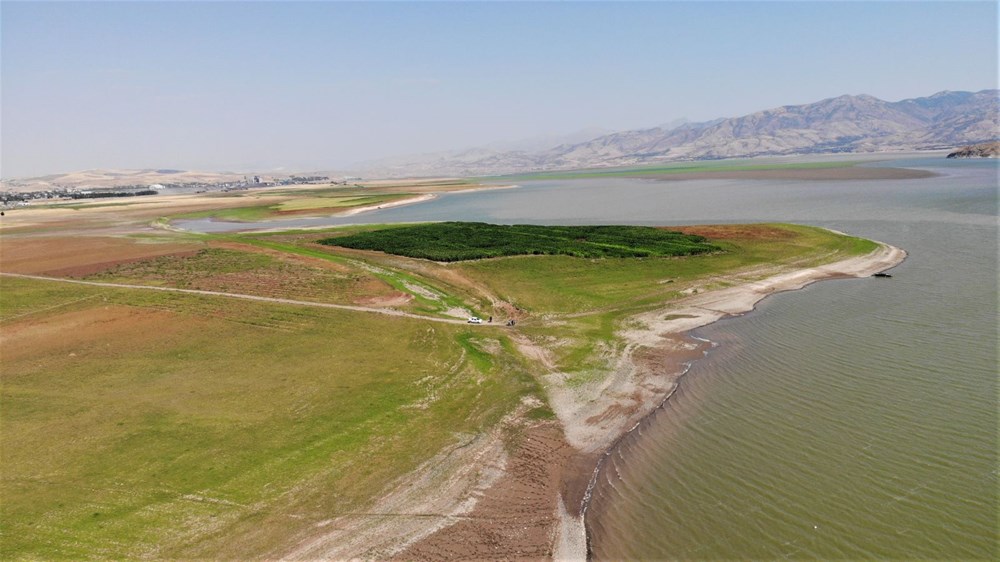 Su çekildi, nehir kenarında tarım başladı - Son Dakika Ekonomi ...