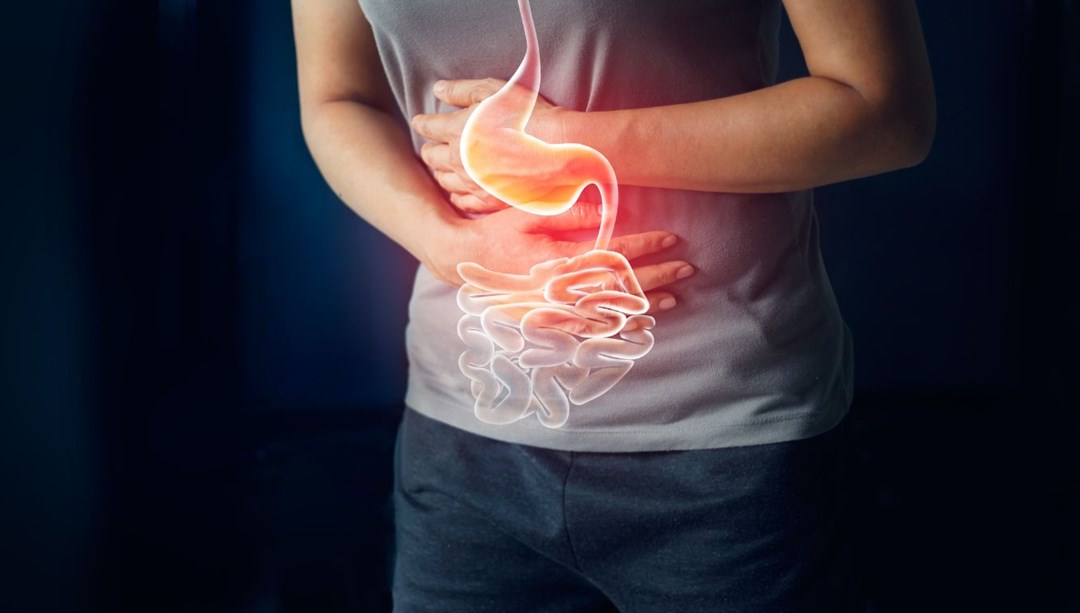 Kolon nedir, belirtileri nelerdir? Kolon kanserinden nasıl korunulur ...