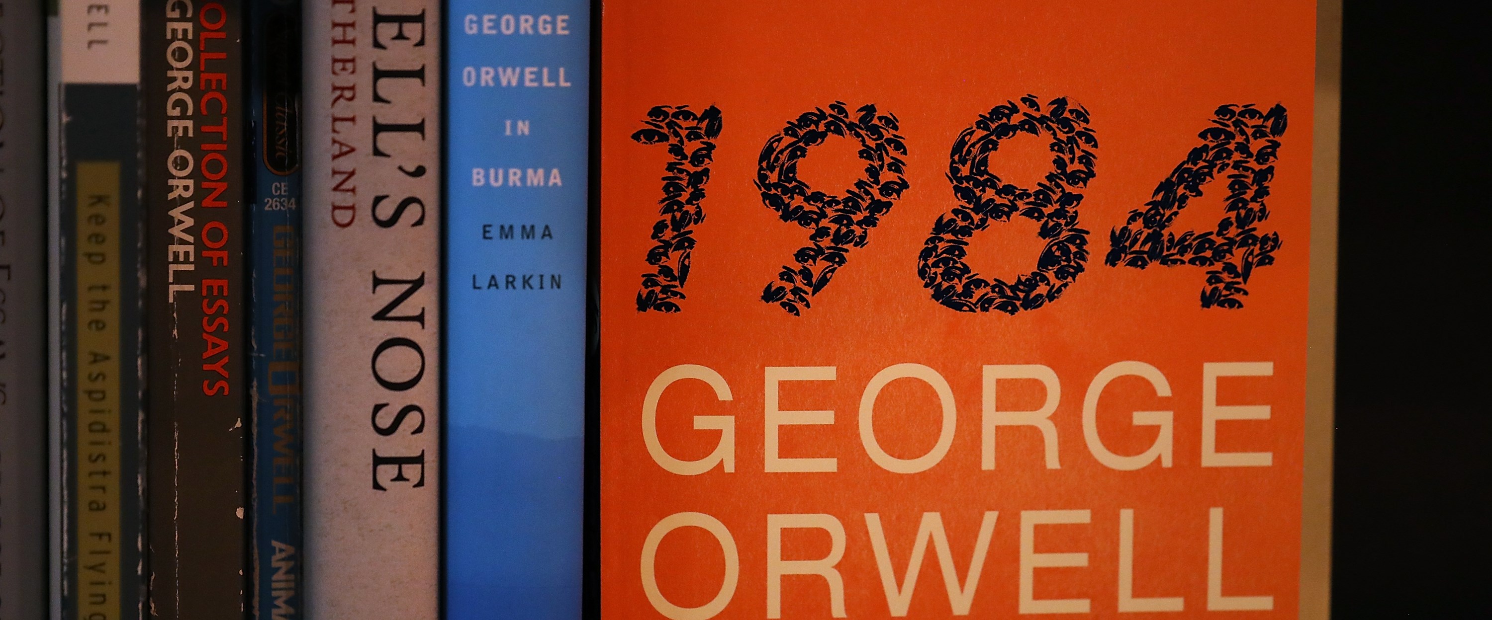"1984" satışları Trump ile zirve yaptı