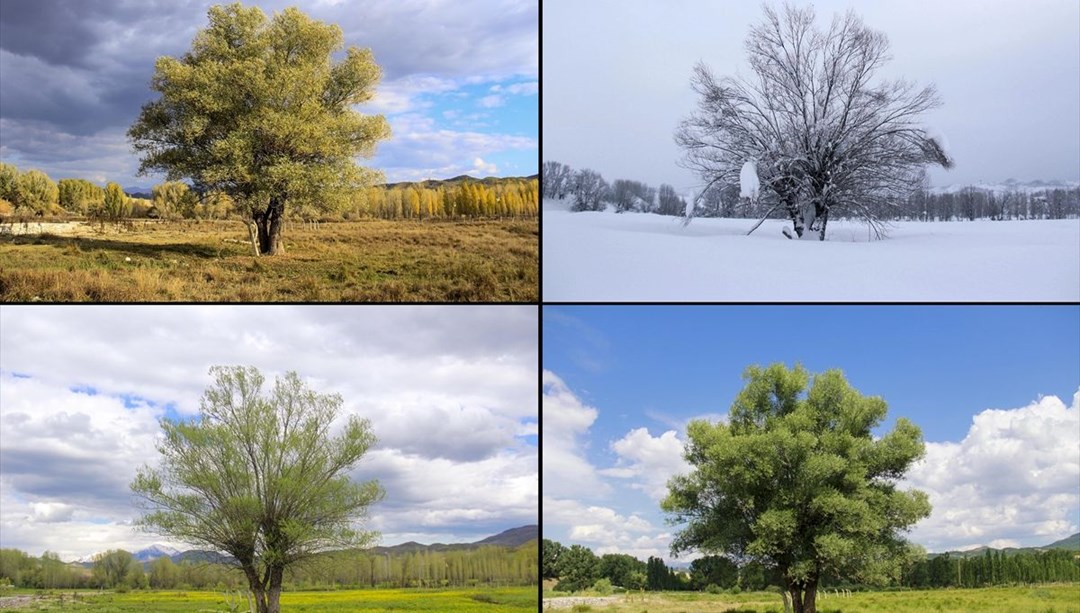 Fotoğraflarla dört mevsim Ovacık