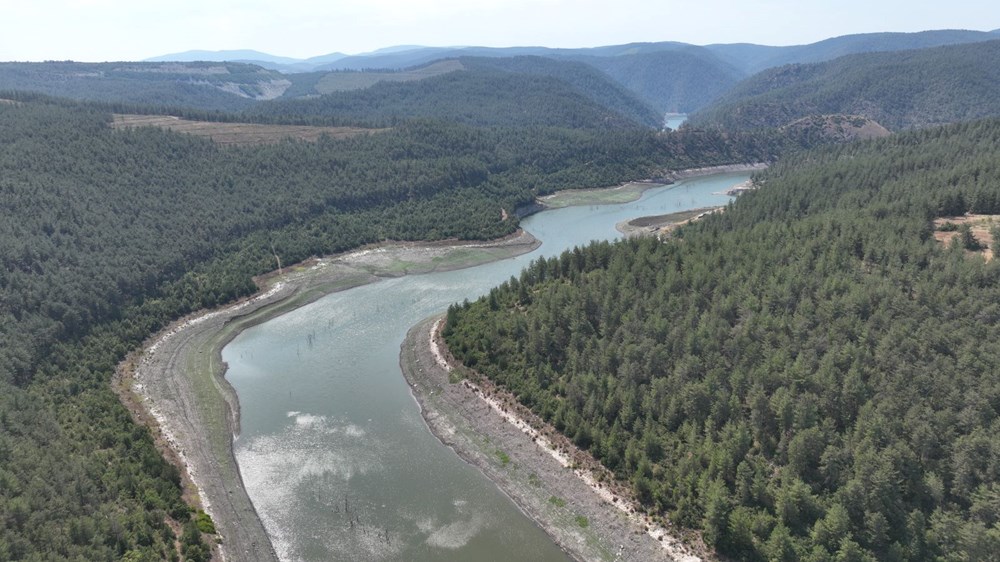 Kocasu Deresi’nde korkutan balık ölümleri - Son Dakika Türkiye ...